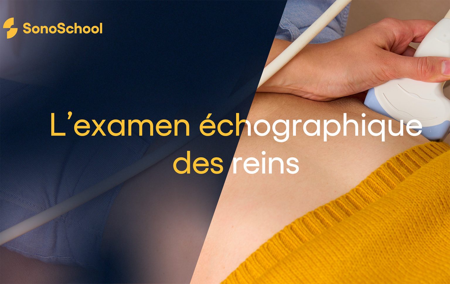 Échographie des reins, de la vessie & Échographie de la rate